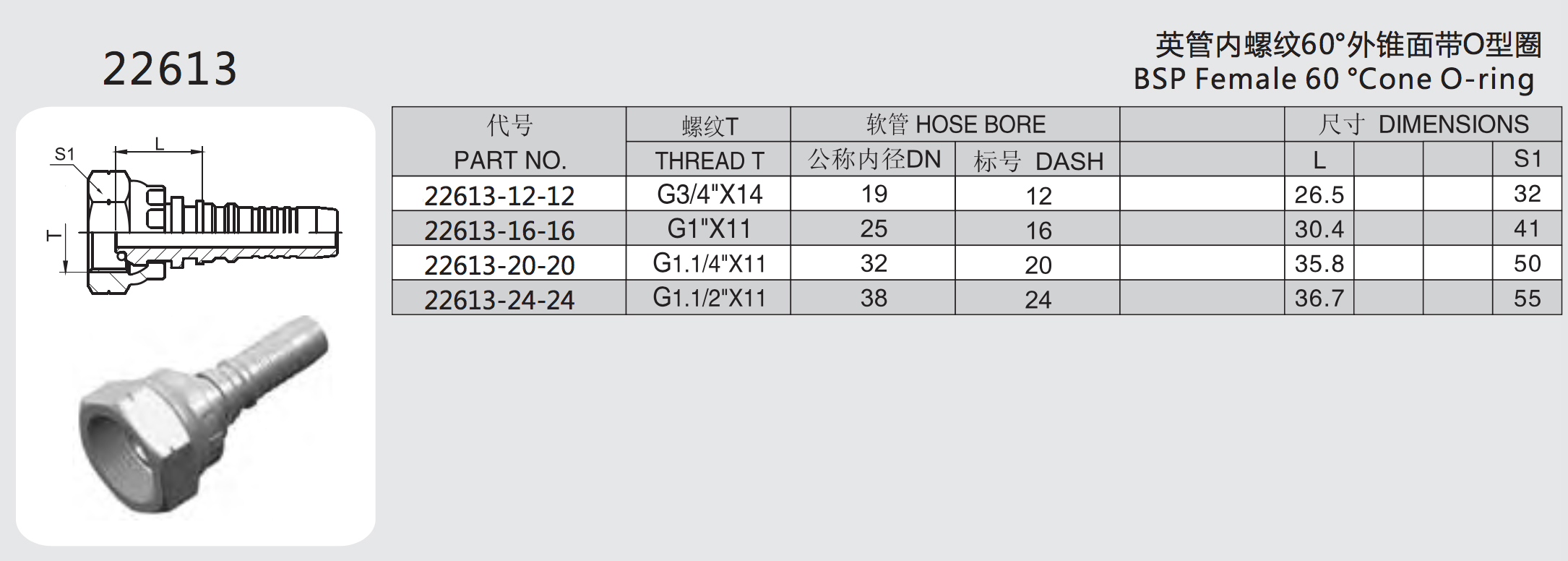22613 BSP FEMALE 60°CONE hydraulic interlock fittings - Buy hydraulics ...